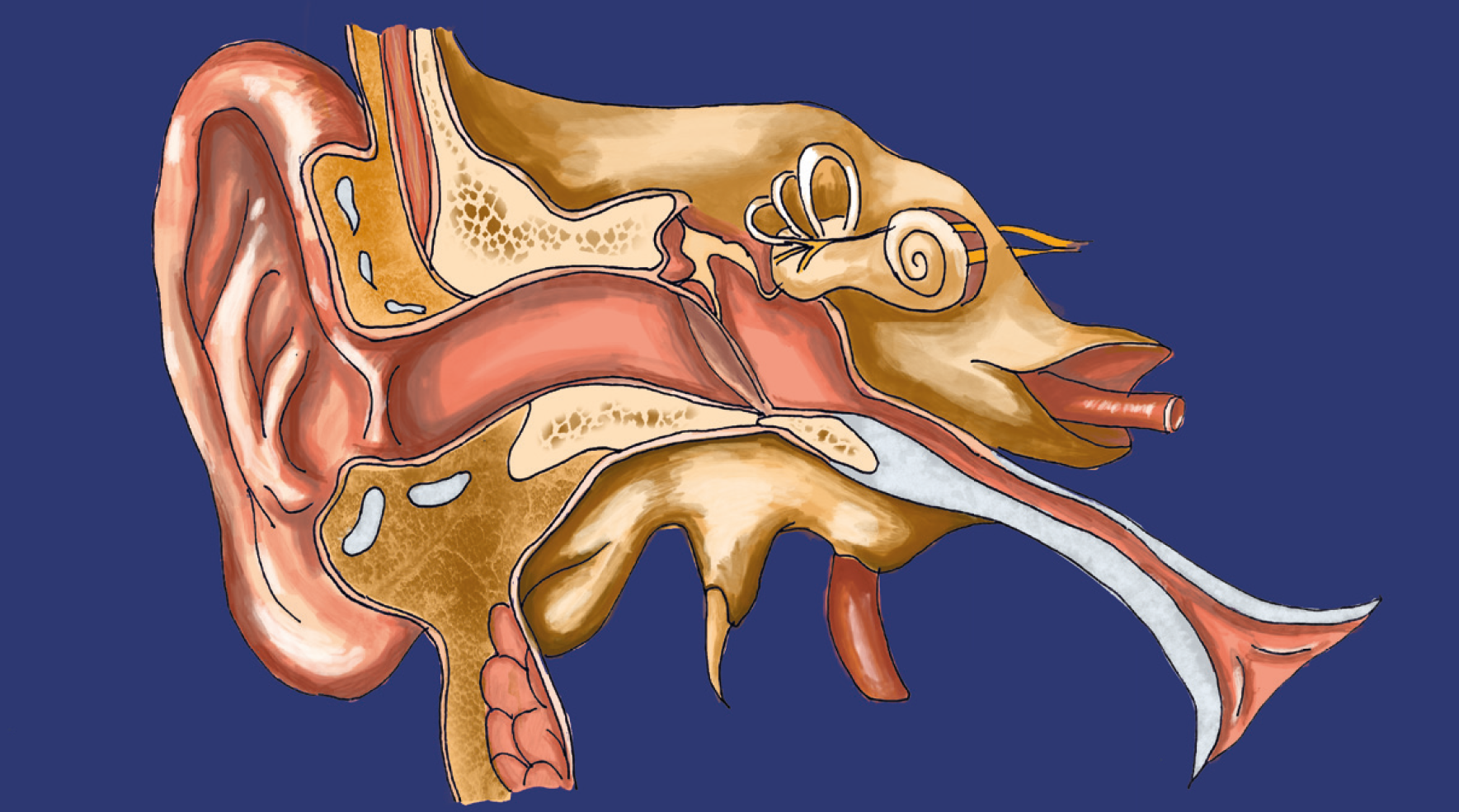 Community - Shaping Portsmouth